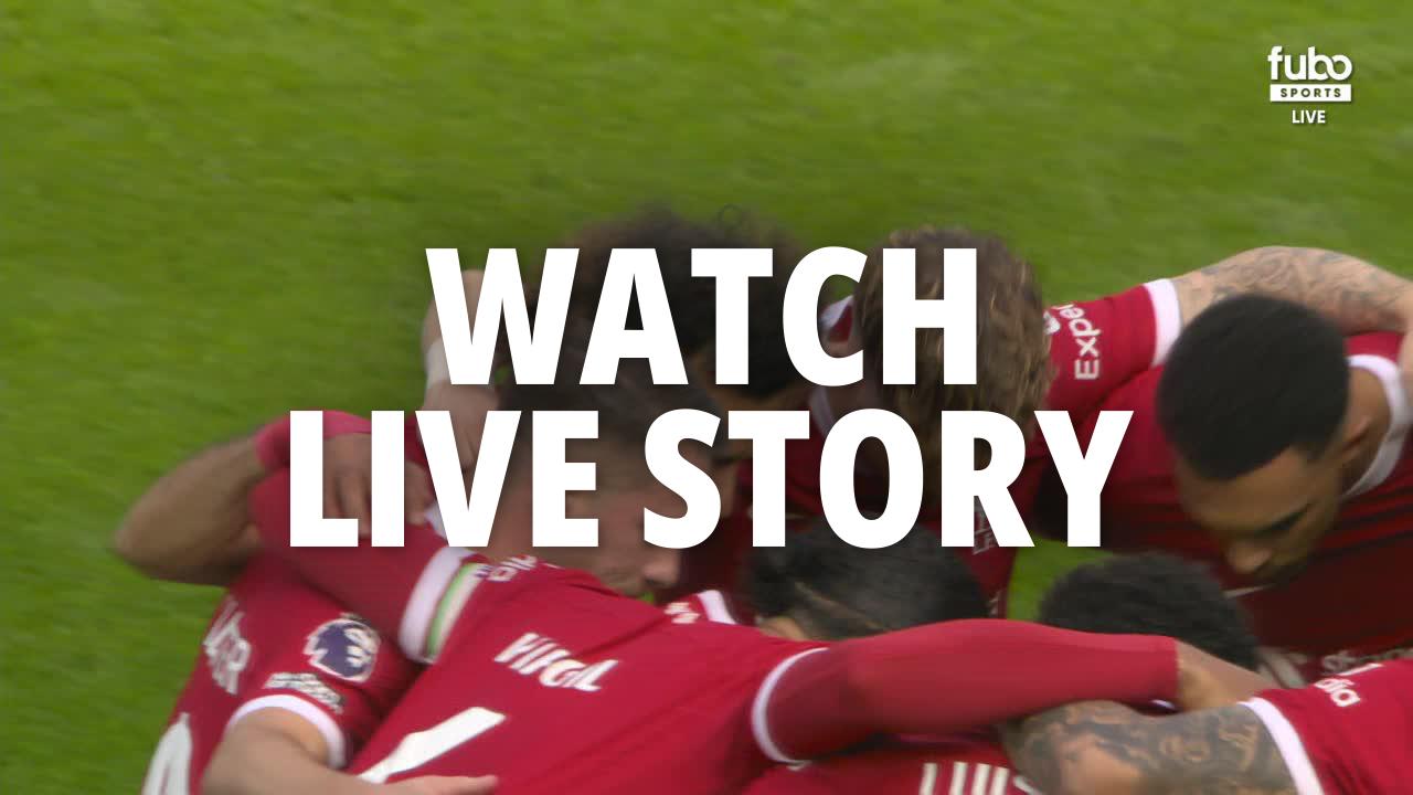 Brighton vs Liverpool FC